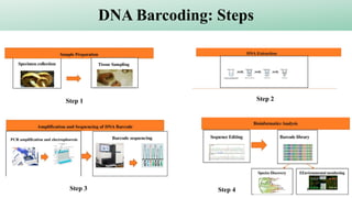 Conservation Biotechnology: DNA and Tissue Bank, DNA Barcoding , DNA fingerprint | PPT