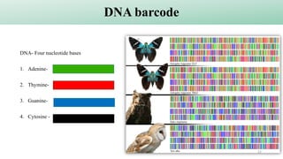 Conservation Biotechnology: DNA and Tissue Bank, DNA Barcoding , DNA fingerprint | PPT