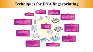 Conservation Biotechnology: DNA and Tissue Bank, DNA Barcoding , DNA fingerprint | PPT