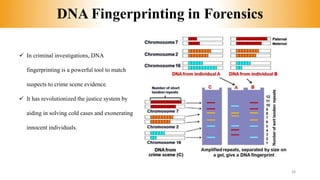 Conservation Biotechnology: DNA and Tissue Bank, DNA Barcoding , DNA fingerprint | PPT