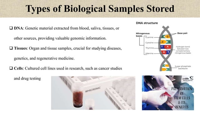 Conservation Biotechnology: DNA and Tissue Bank, DNA Barcoding , DNA fingerprint | PPT
