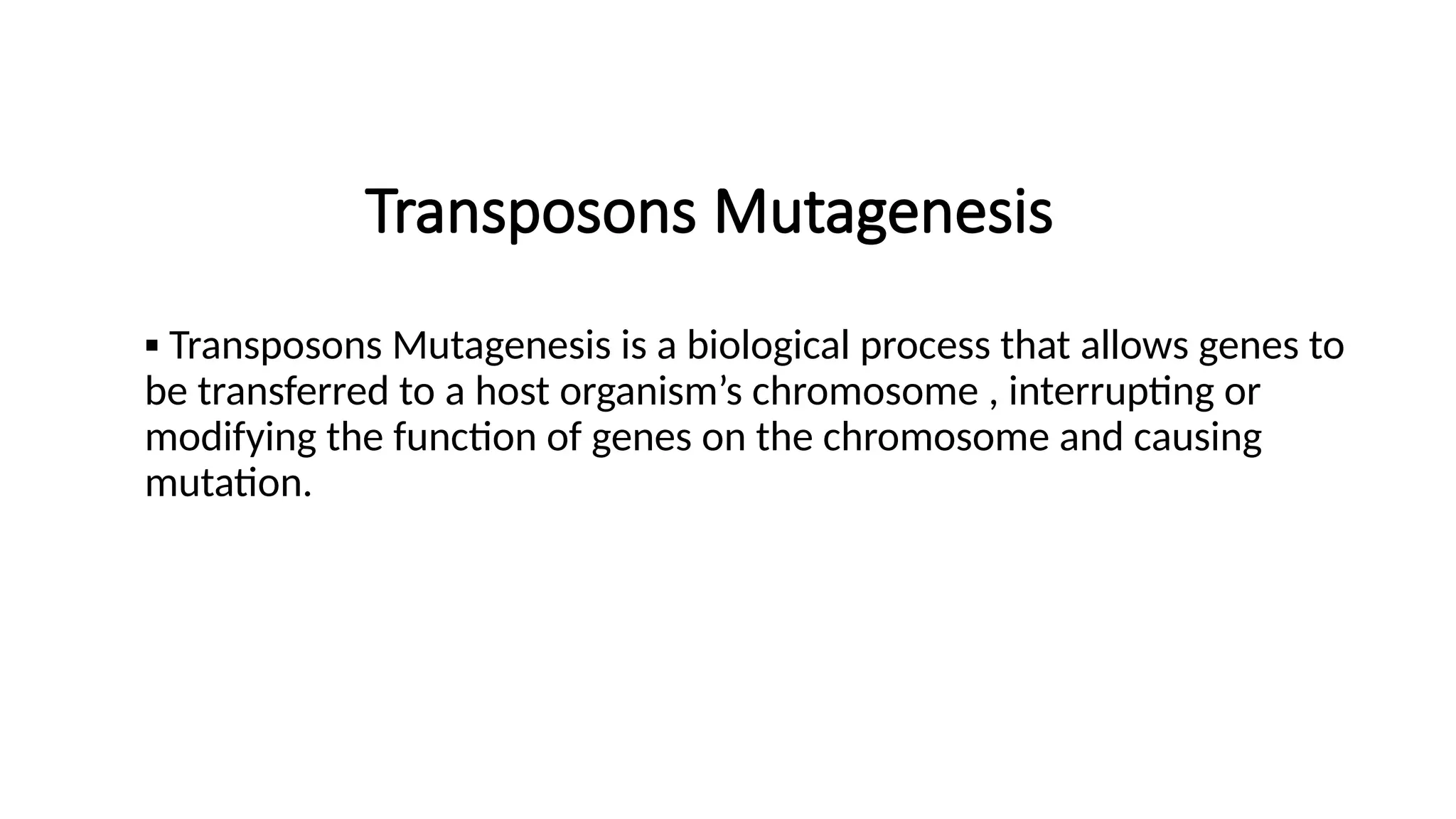 Somatic vs. Germinal and Insertional Mutagenesis | PPTX