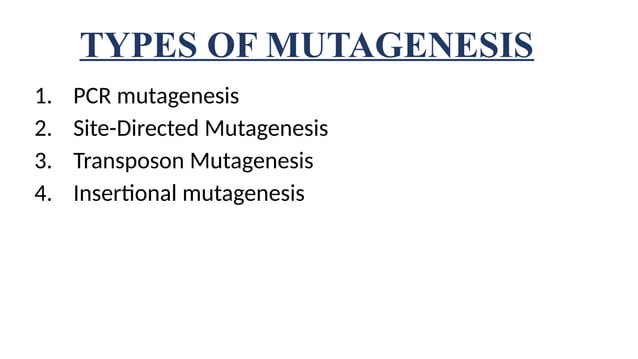 Somatic vs. Germinal and Insertional Mutagenesis | PPTX