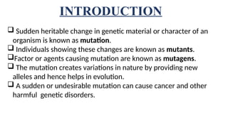 Somatic vs. Germinal and Insertional Mutagenesis | PPTX