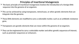Somatic vs. Germinal and Insertional Mutagenesis | PPTX