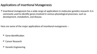Somatic vs. Germinal and Insertional Mutagenesis | PPTX