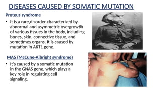 Somatic vs. Germinal and Insertional Mutagenesis | PPTX