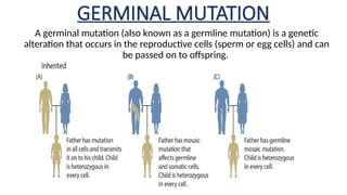 Somatic vs. Germinal and Insertional Mutagenesis | PPTX