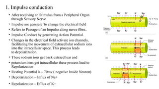 Neurohumoral transmission in cental nervus system.pptx