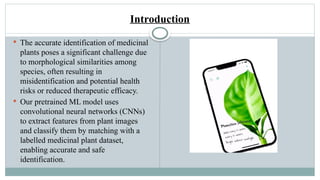 ai based medical plant detection system for plants | PPTX