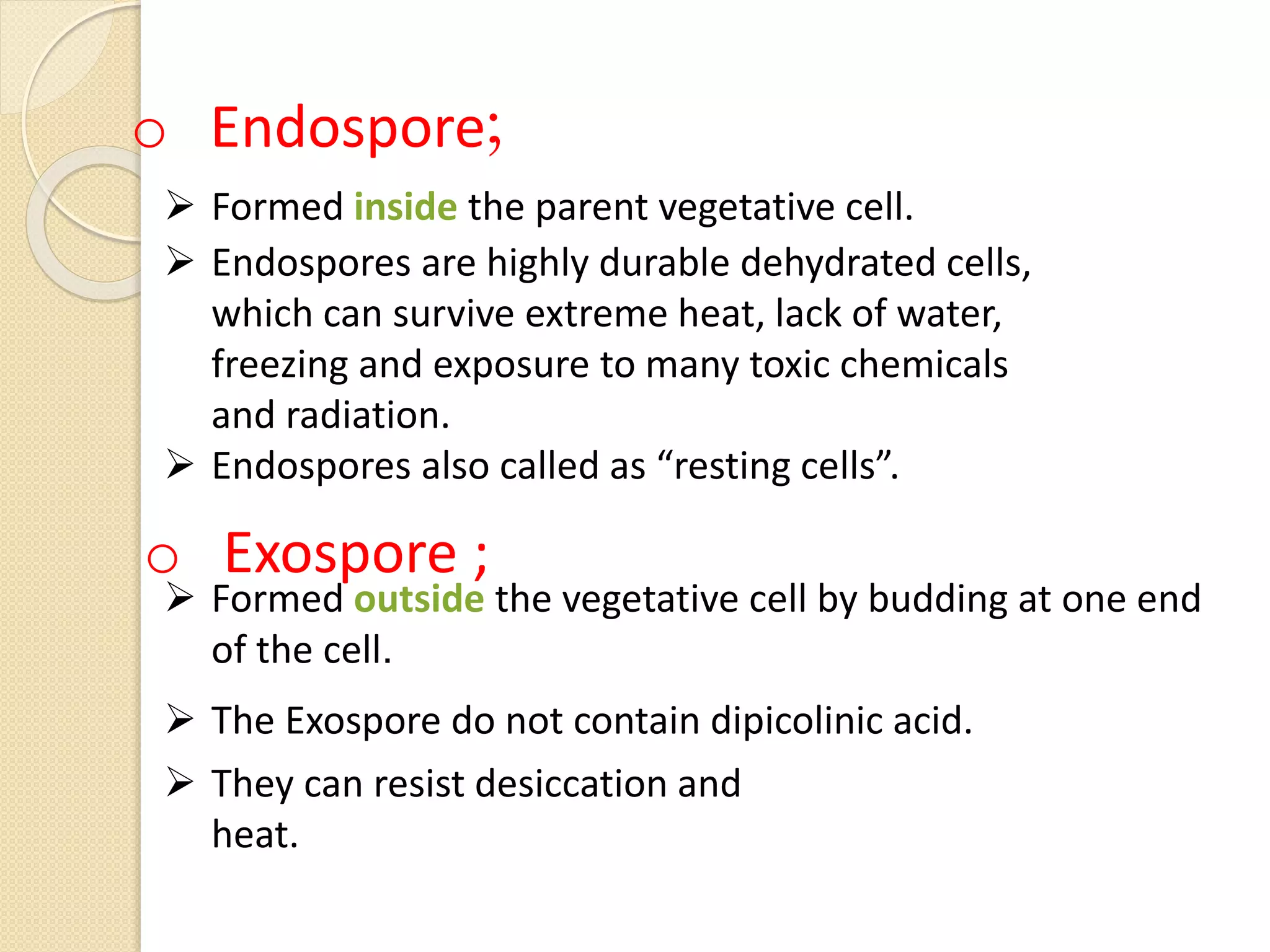 Endospore | PPTX