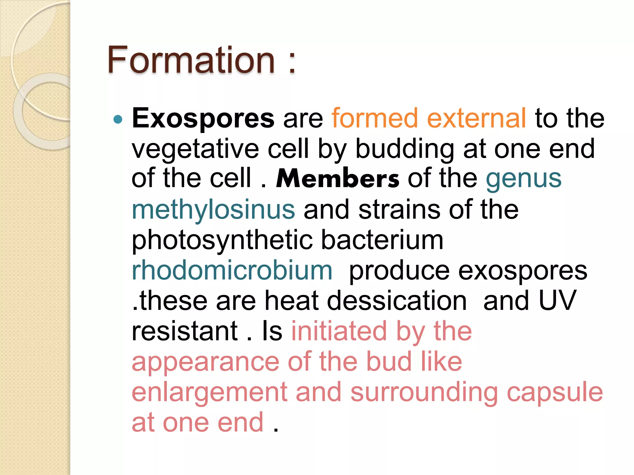 Endospore | PPTX