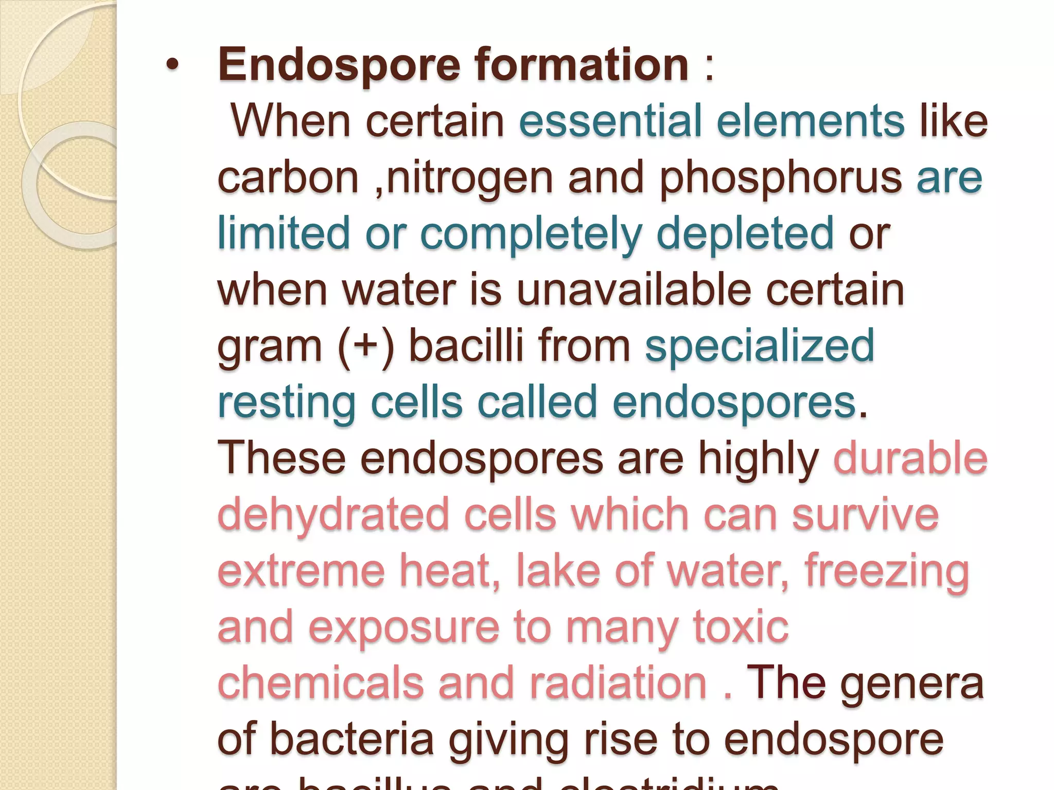 Endospore | PPTX