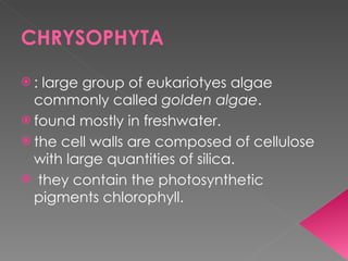 Final ppt. in biodiversity | PPT