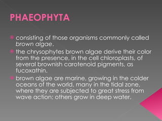 Final ppt. in biodiversity | PPT
