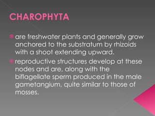 Final ppt. in biodiversity | PPT