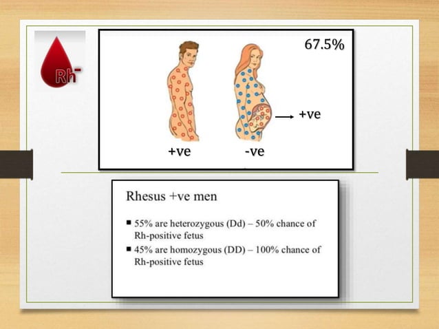 Management of Rh Negative Pregnancy | PPT
