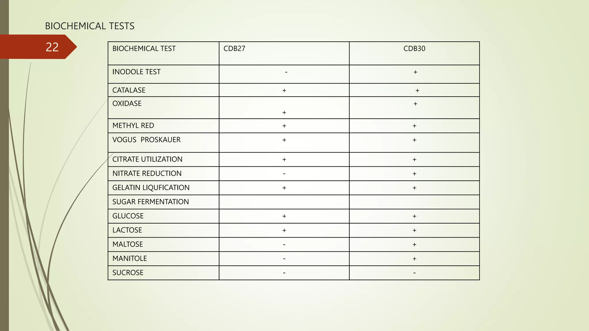 final ppt (1).pptx