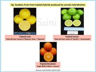 Role of tissue culture techniques in overcoming major breeding ...