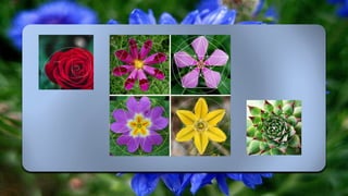 PPT on Mathematical Application in practical life | PPTX