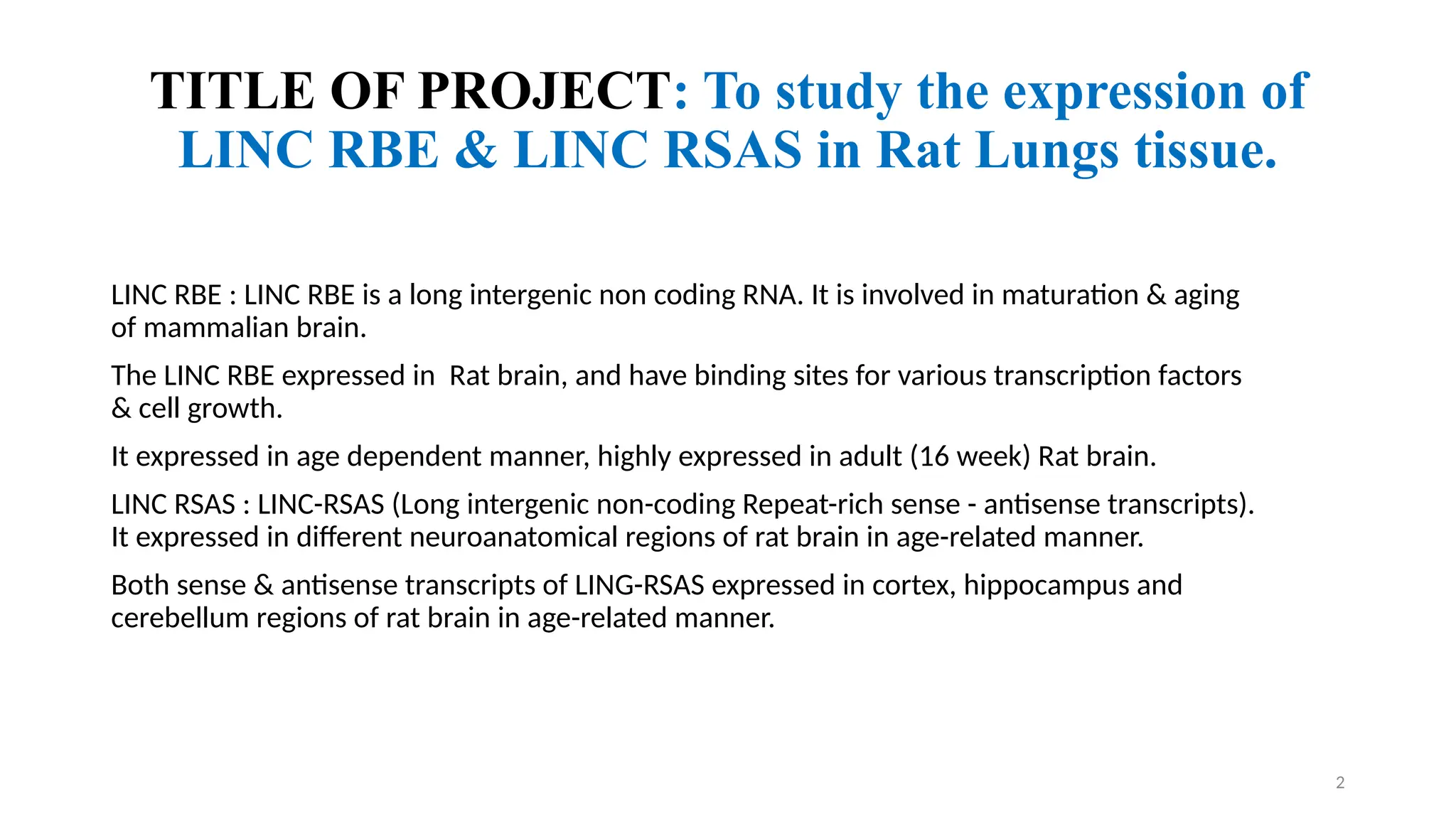FINAL ppt 29 jan.pptx rsas in rat lungs msc | PPT