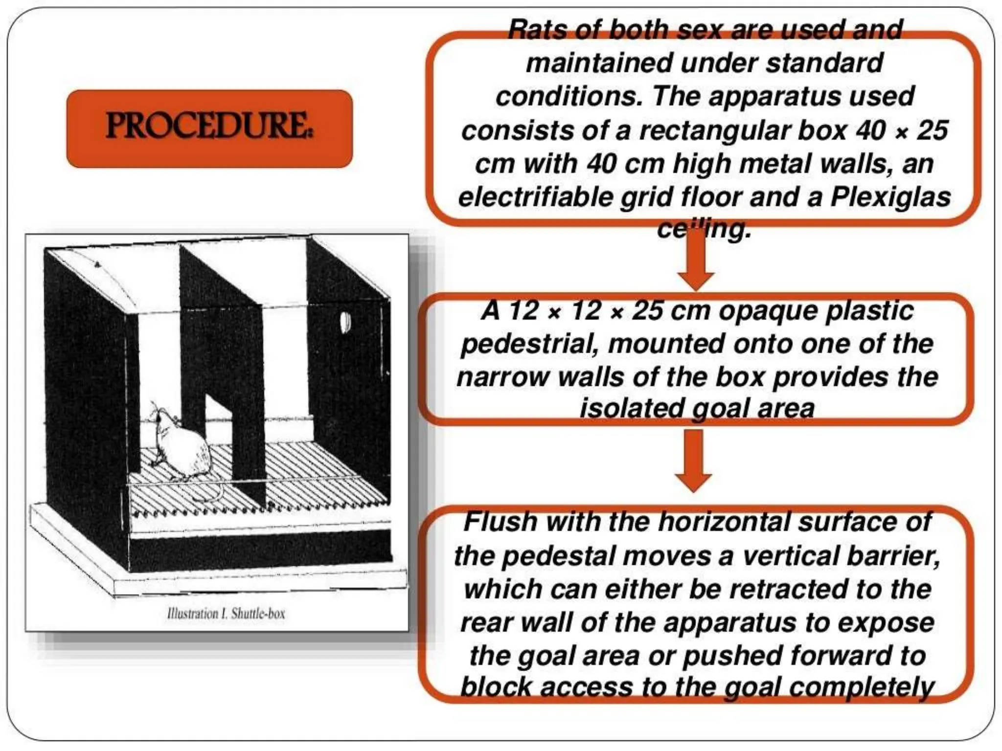 PPT ON ALZHHEIMER DISEASE BY Ms.Sapna Rani | PPT