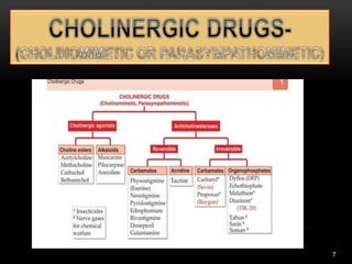 Adrenergic & cholinergic agents | PPTX | Brain and Nervous System ...