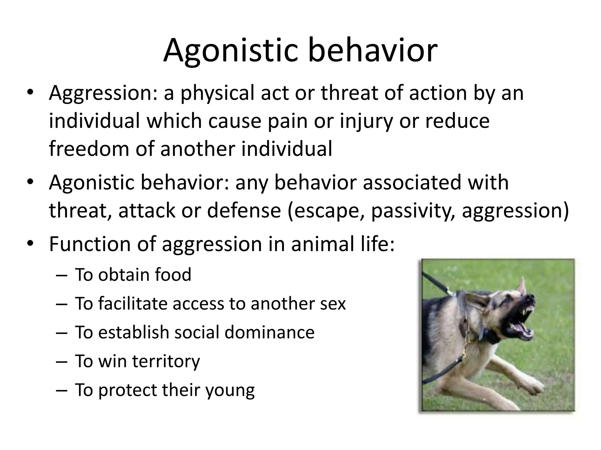 Final ppt Animal Behavior 2014 first term.ppt