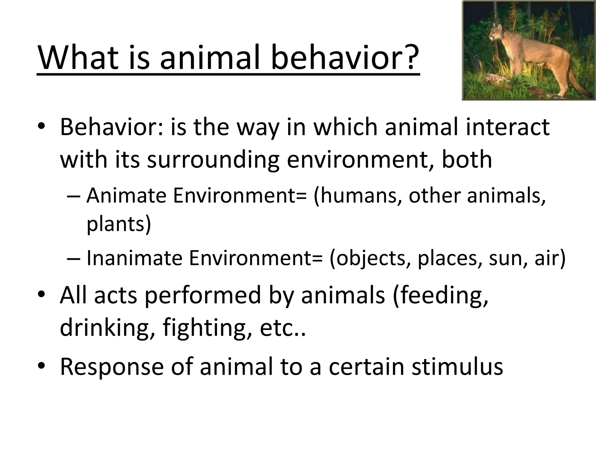 Final ppt Animal Behavior 2014 first term.ppt | Veterinary Medicine | Pets