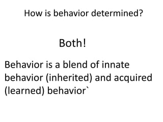 Final ppt Animal Behavior 2014 first term.ppt