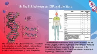 astronomical origins of life | PPTX