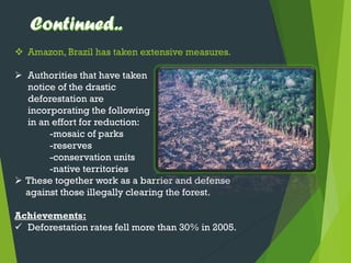 Deforestation: Environmental Problems | PPTX
