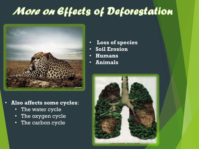Deforestation: Environmental Problems | PPTX