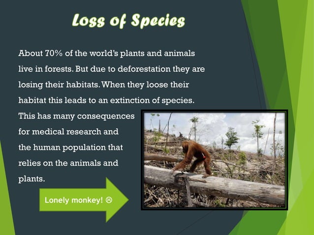 Deforestation: Environmental Problems | PPTX