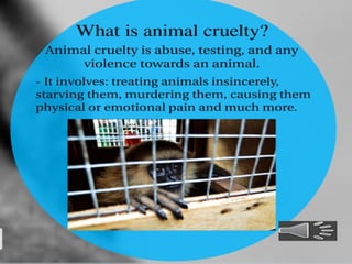Final PPT on animal cruelty by human.pptx