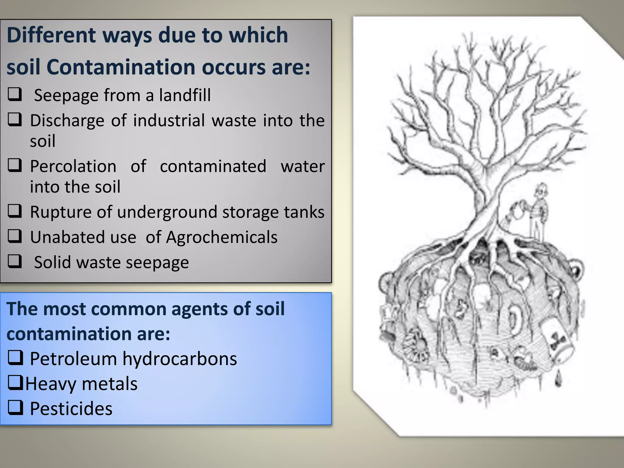 Credit Seminar on "Soil Contamination: Risk Assessment and Remediation ...
