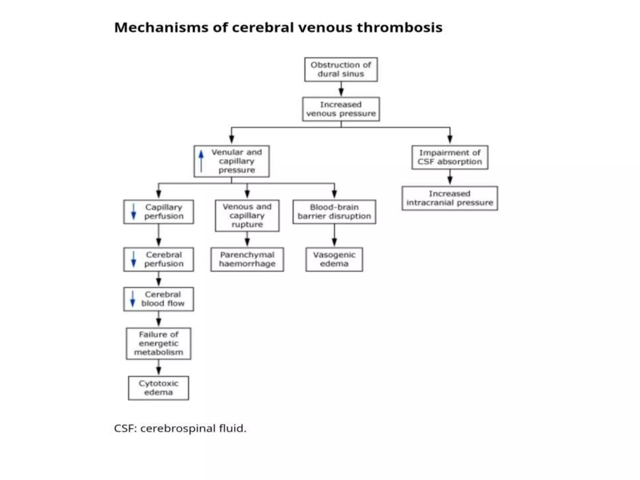 CVST central venous sinus thrombosis.pptx