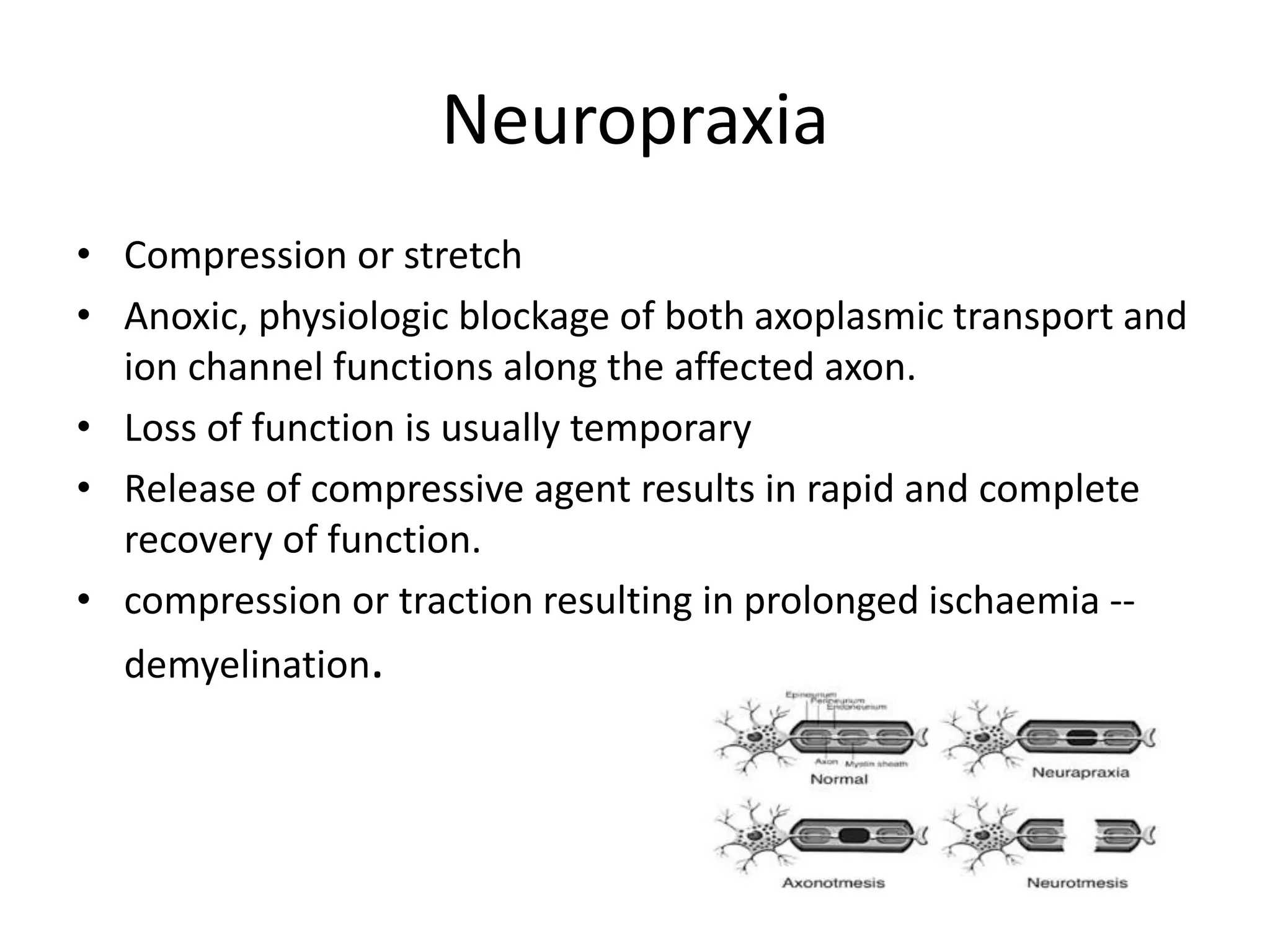 facial nerve- pathophysiology, electrodiagnostic and imaging | PPTX