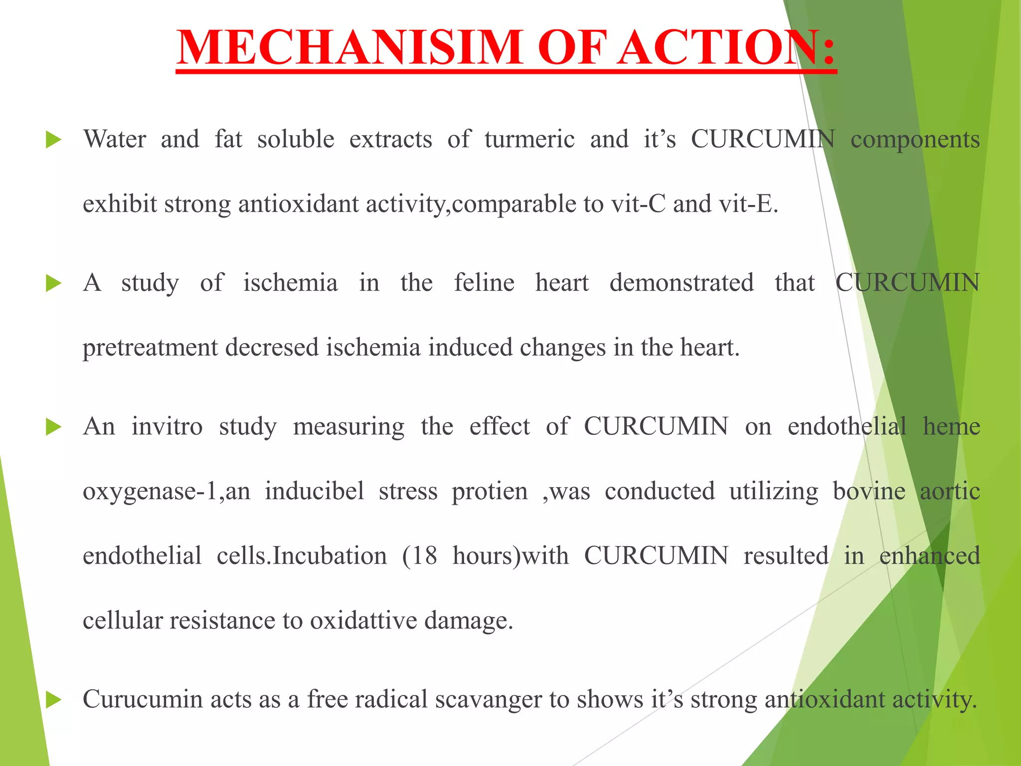 curcumin Longa ppt | PPTX