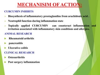 curcumin Longa ppt | PPTX