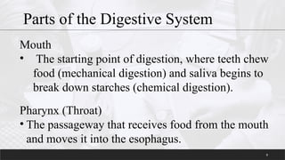 DIgestive system parts and function PPT. | PPTX