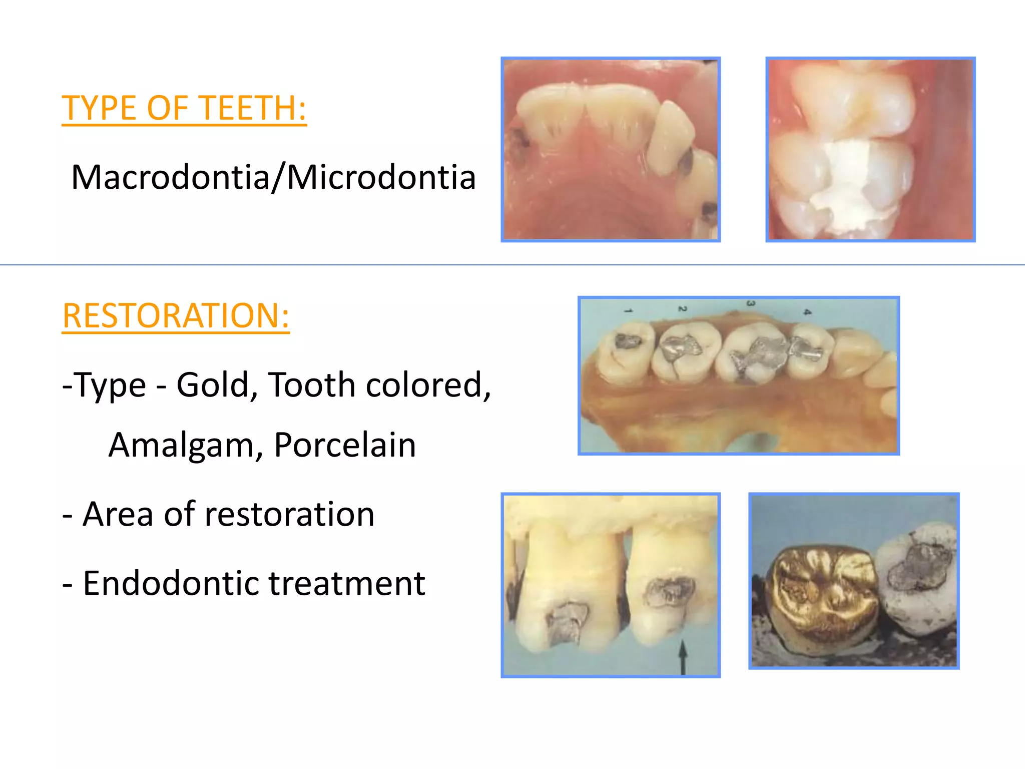 Dental Detectives - Forensic Odontology | PPTX