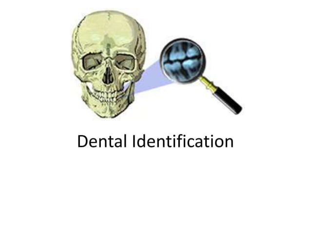 Dental Detectives - Forensic Odontology | PPT