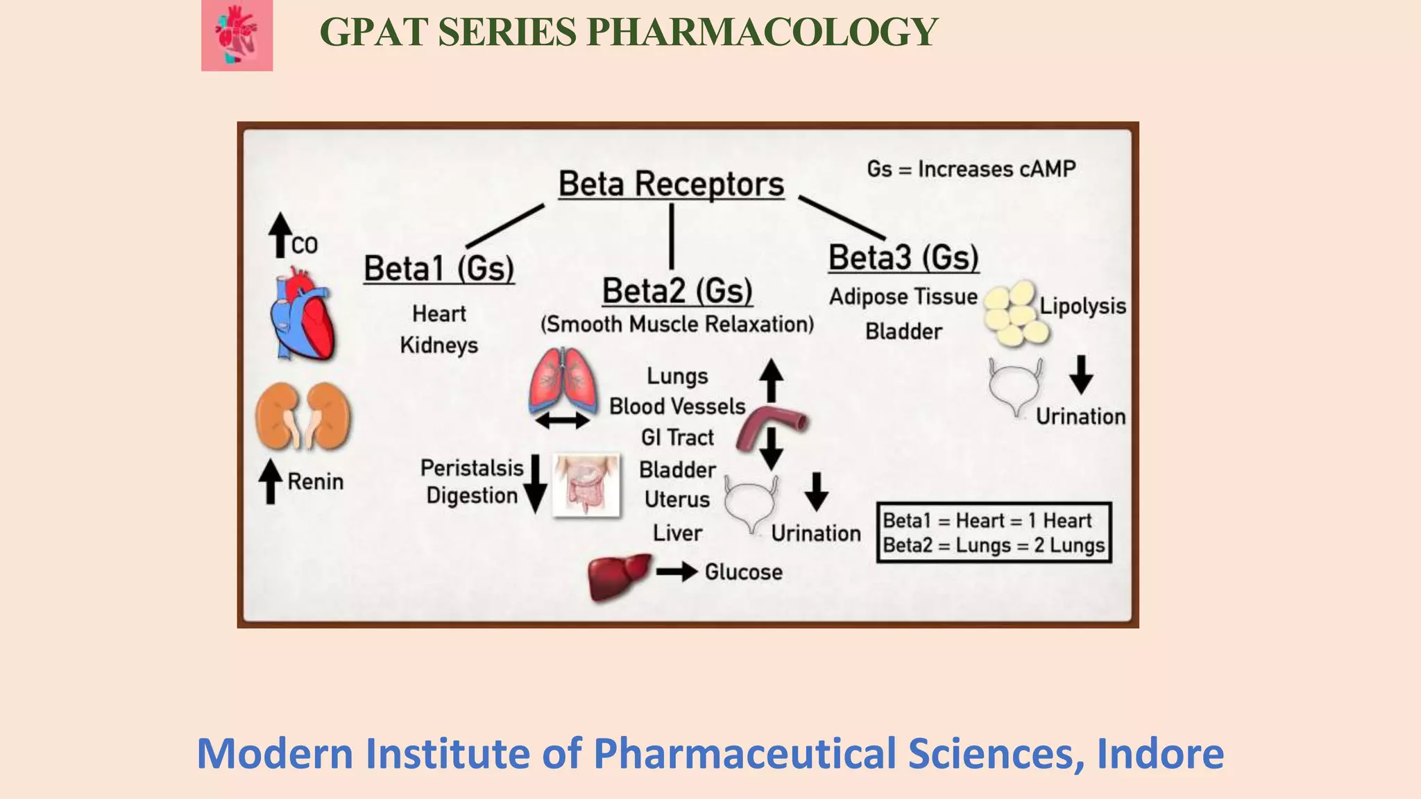 CARDIOVASCULAR SYSTEM GPAT NOTES | PPTX