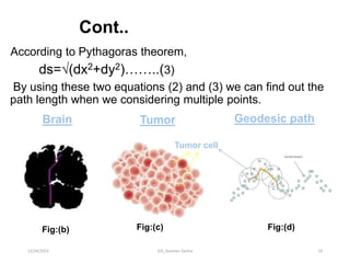 Cell hole identification in carcinogenic segment using Geodesic ...