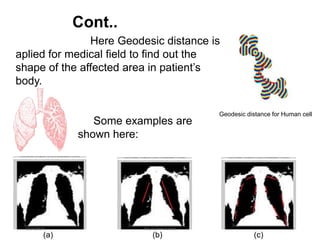 Cell hole identification in carcinogenic segment using Geodesic ...