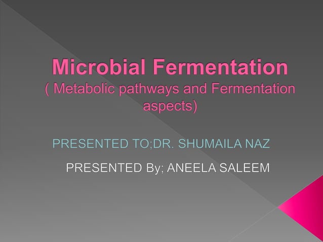 Microbial fermentation By Aneela Saleem | PPT