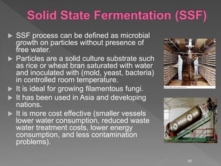 Microbial fermentation By Aneela Saleem | PPT