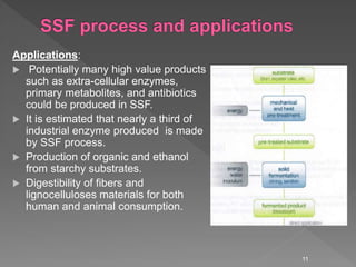 Microbial fermentation By Aneela Saleem | PPT