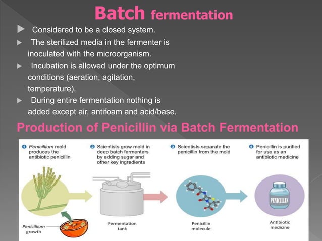 Microbial fermentation By Aneela Saleem | PPT